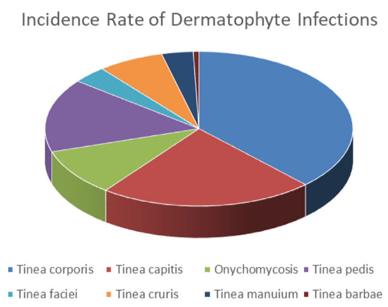 University of Duhok (UoD)